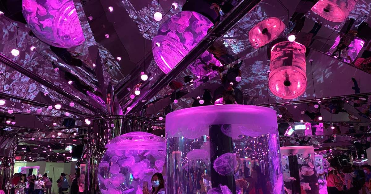 Đào Viên: Thủy cung Xpark & Trung tâm mua sắm Huatai & Phố cổ Daxi (đã bao gồm vé) - Klook Việt Nam